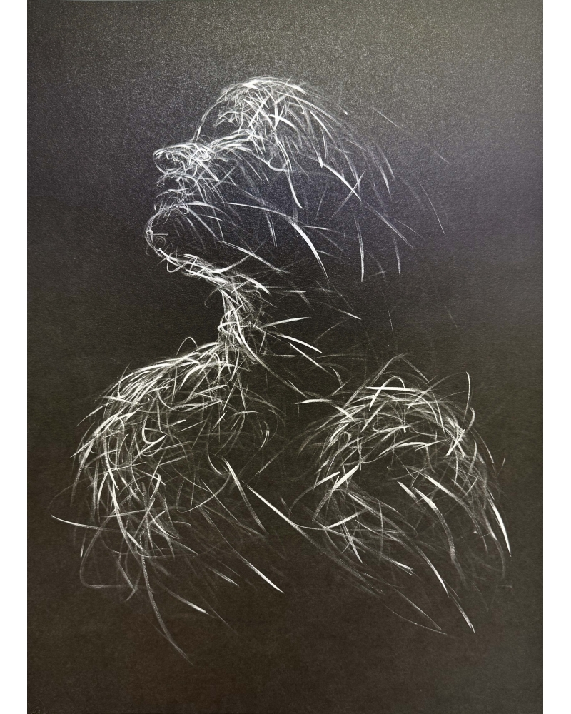 Box set of 8 lithographs Hom Nguyen