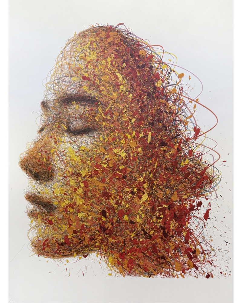 Box set of 8 lithographs Hom Nguyen